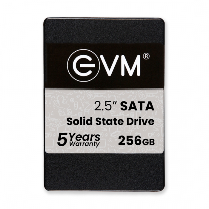 Buy EVM | 256 GB | Internal Desktop SSD | 2.5 Inch SATA | at the Best ...